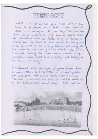 Cricket Report | PDF