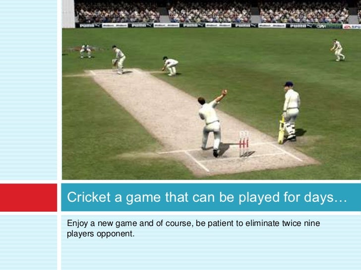 Cricket Visual Information 2º ESO Secciones