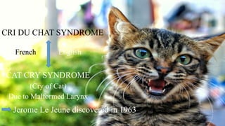 Cri du chat syndrome | PPTX