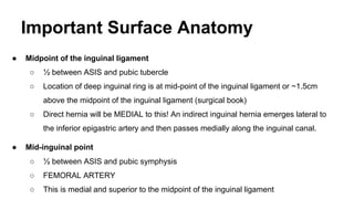 Notes on hernias for medical finals | PDF