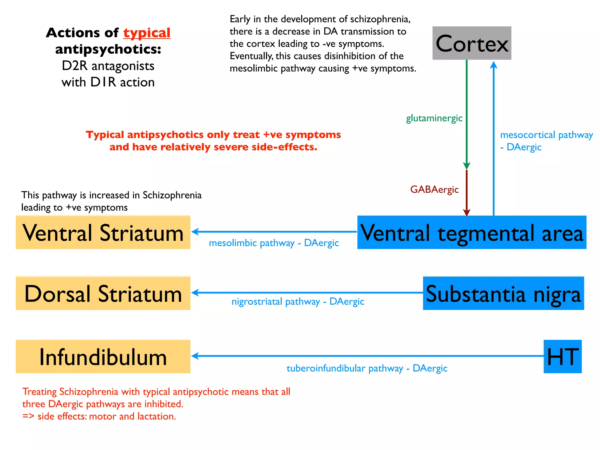 Overview of the Mechanism of Typical vs Atypical Antipsychotics | PDF