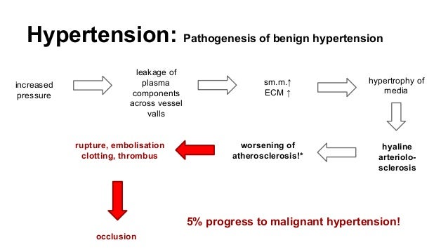 Arterial Vessel Pathology Tutorial