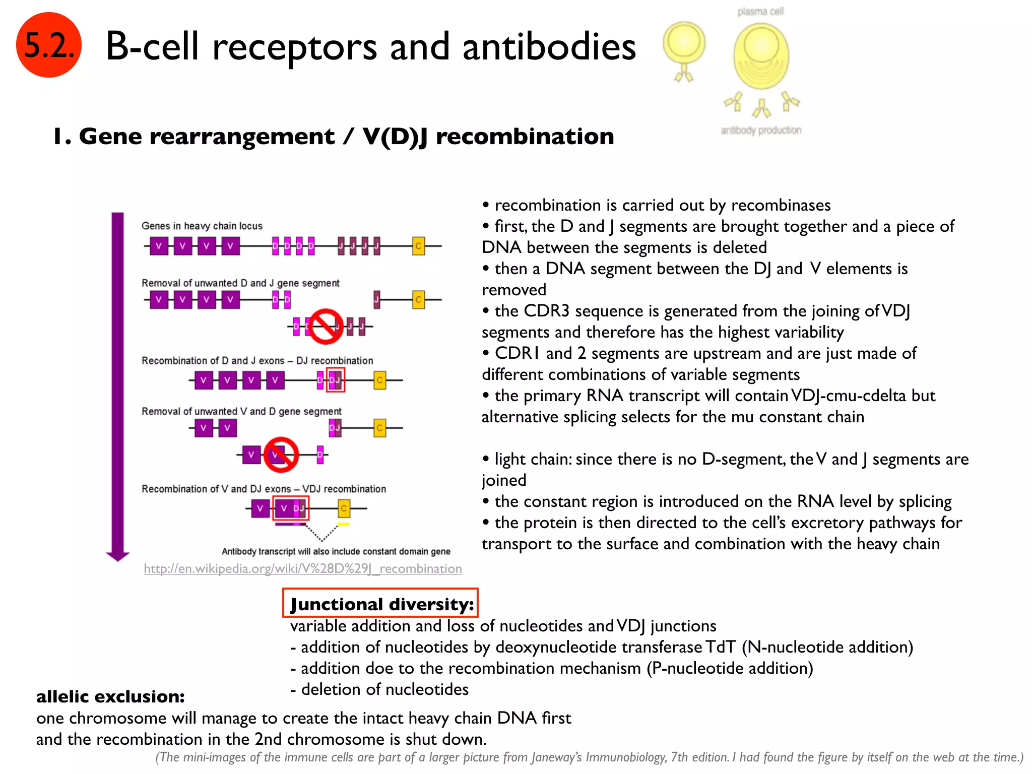Overview of the Immune System for Medics | PDF
