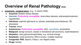 Renal Pathology Tutorial | PDF