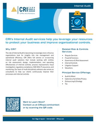 CRI Internal AuditBrochure | PDF