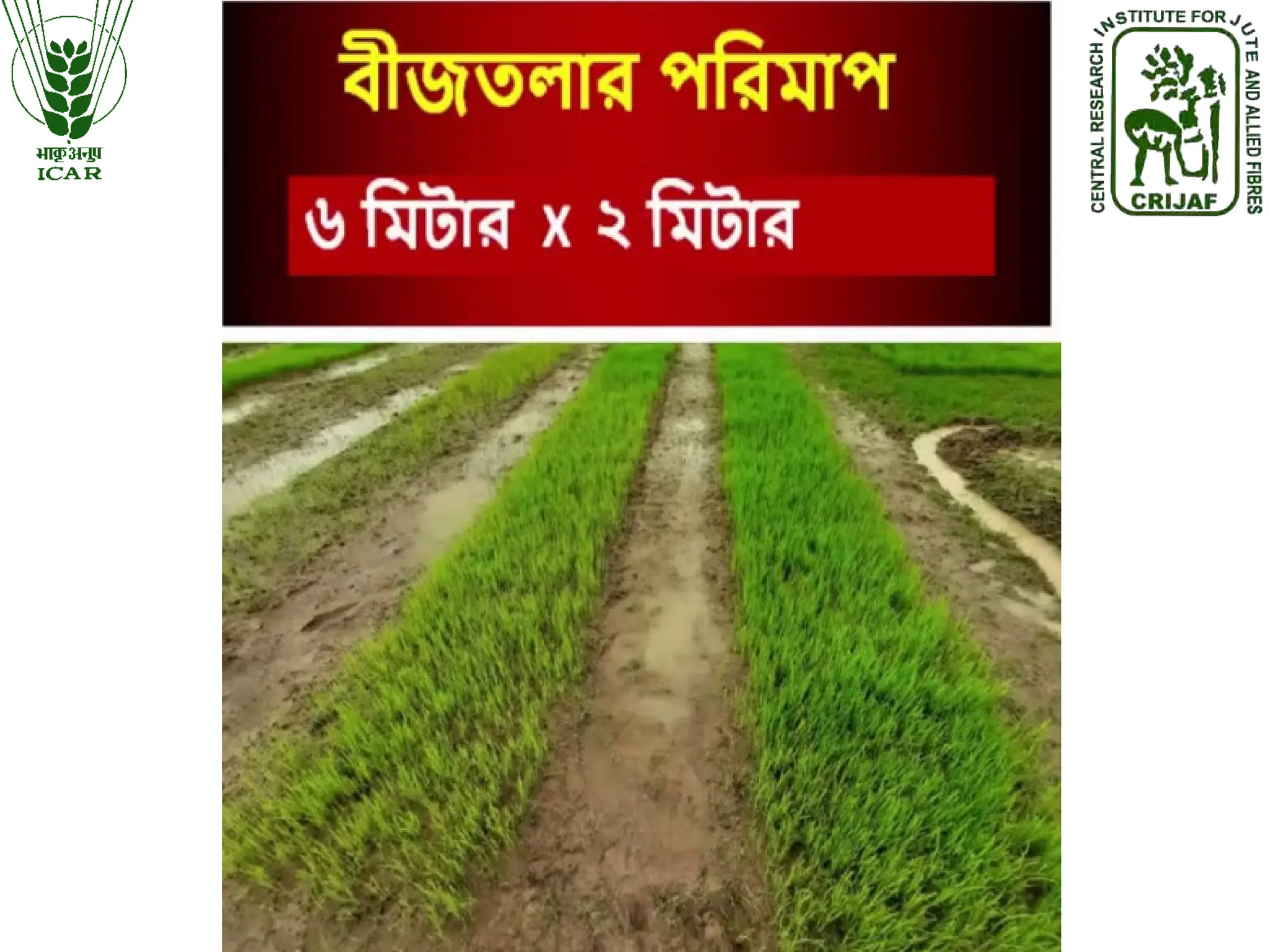 CRIJAF FARMERS TRAINING_RICE production_1.pptx