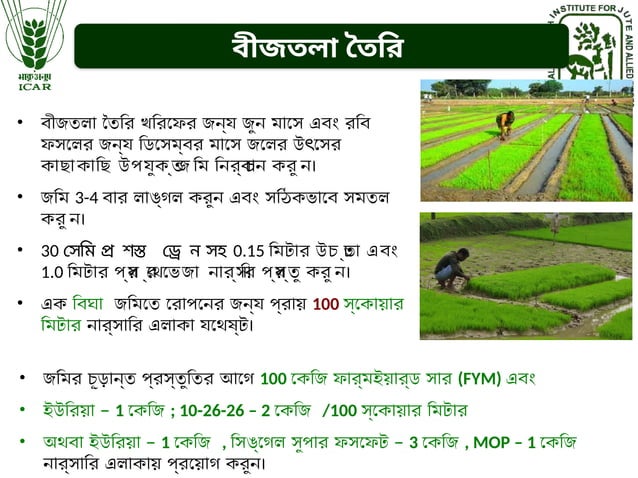 CRIJAF FARMERS TRAINING_RICE production_1.pptx