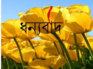 CRIJAF FARMERS TRAINING_RICE production_1.pptx