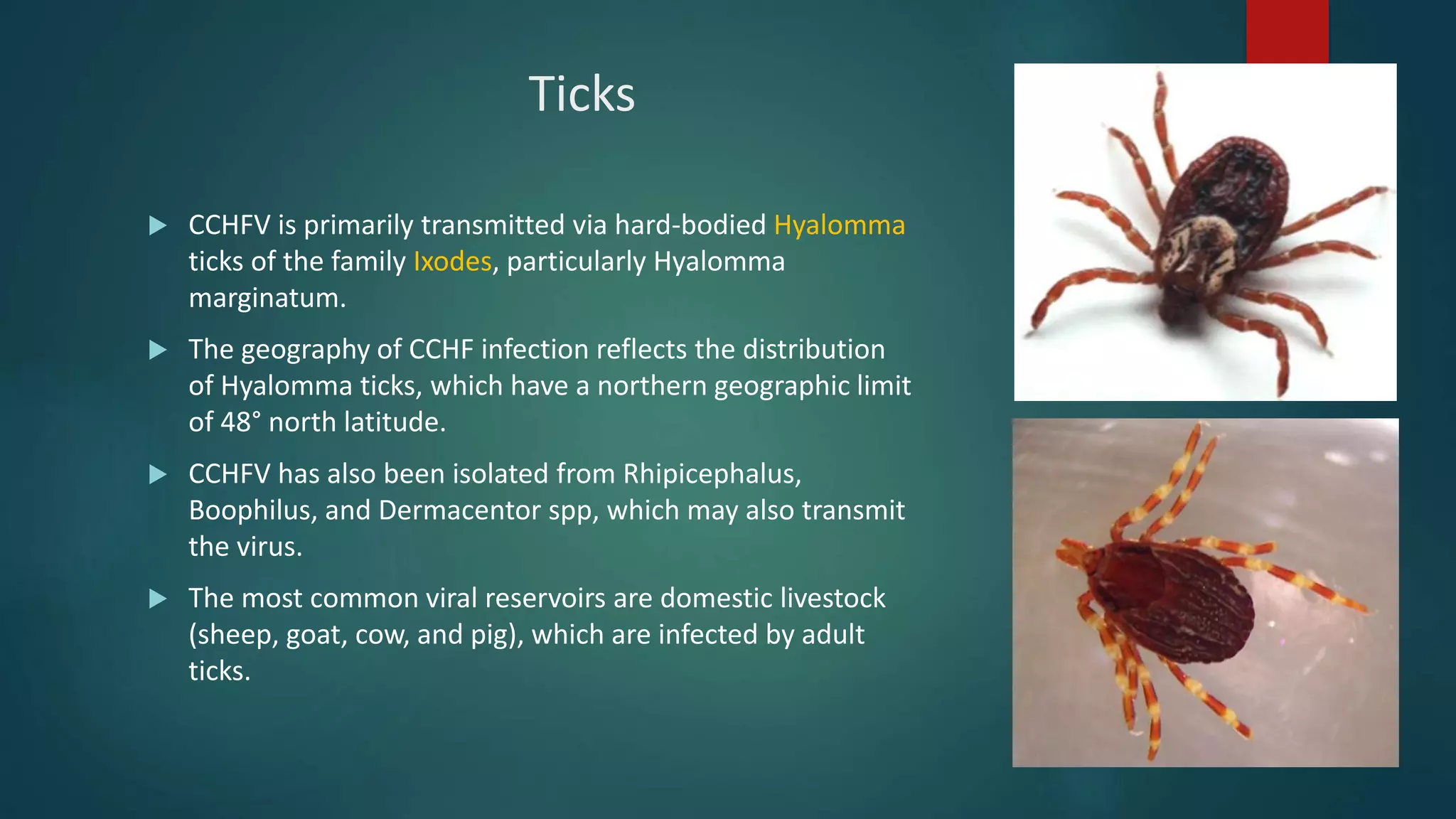 Crimean-Congo-Hemorrhagic-Fever.ppt