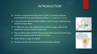 Crimean-Congo-Hemorrhagic-Fever.ppt