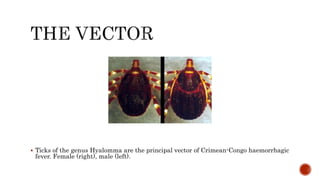 Crimean congo hemorrhagic fever(CCHF) | PPTX