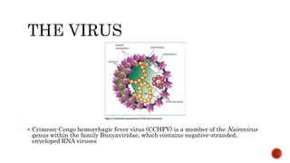 Crimean congo hemorrhagic fever(CCHF) | PPTX
