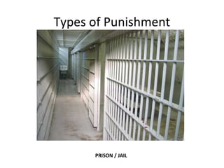 Crime and punishment | PPT