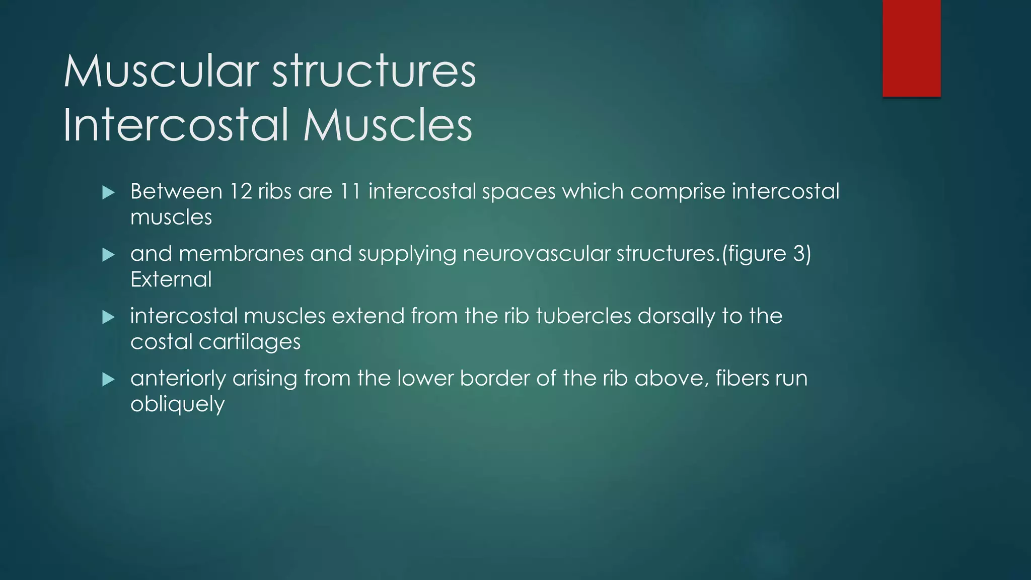 SURGICAL ANATOMY OF THE CHEST WALL | PPTX