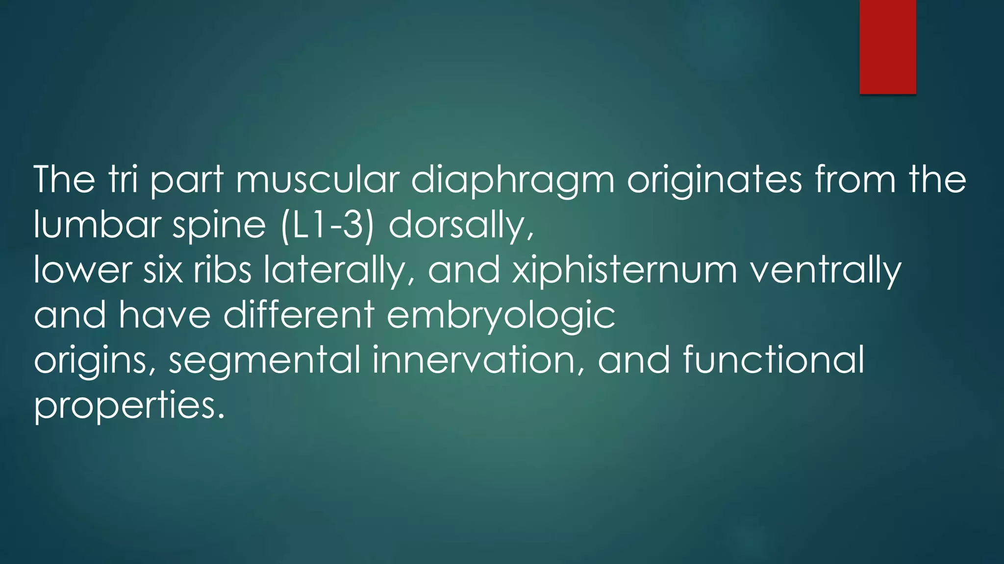 SURGICAL ANATOMY OF THE CHEST WALL | PPTX