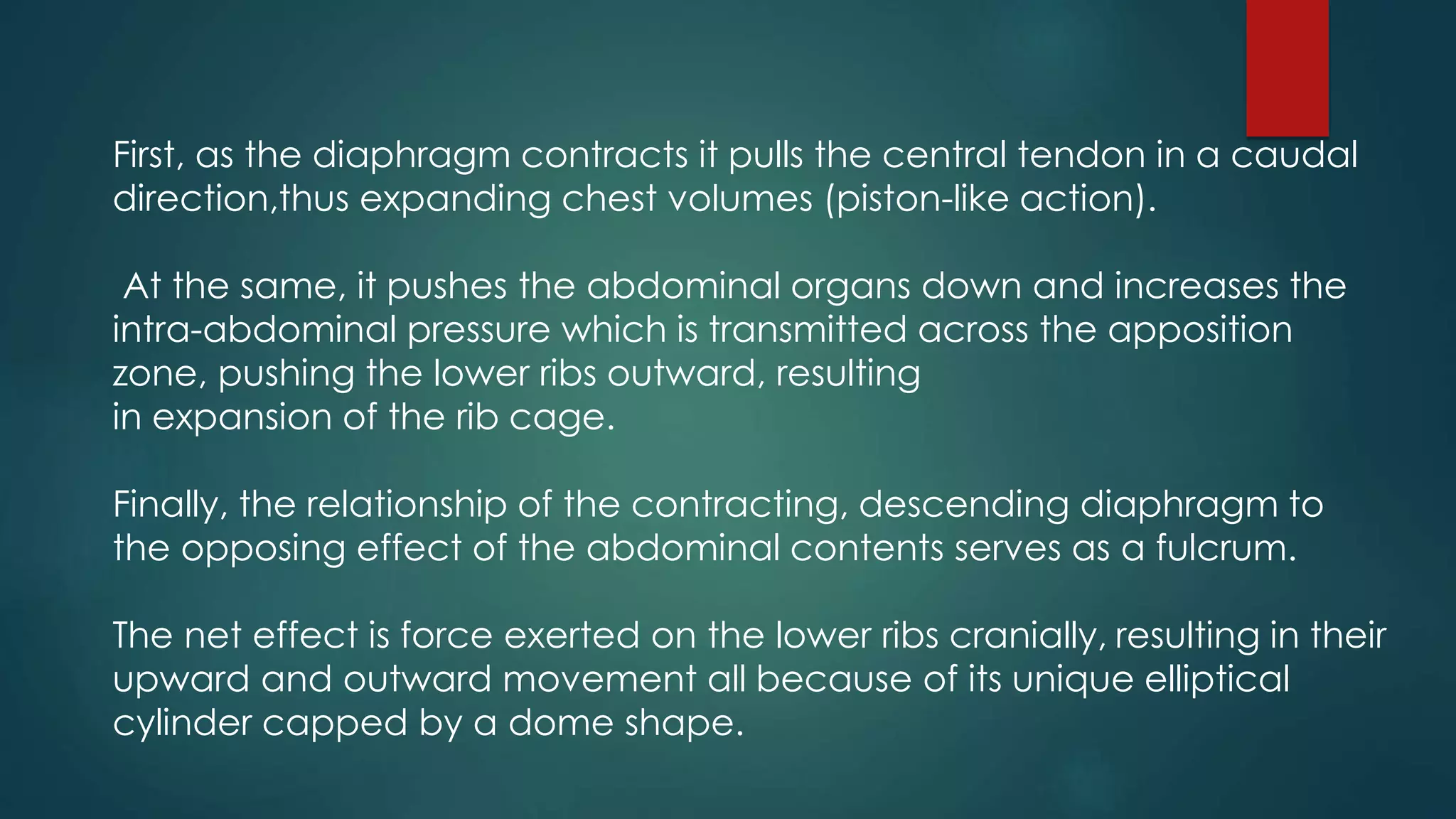 SURGICAL ANATOMY OF THE CHEST WALL | PPTX