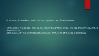 SURGICAL ANATOMY OF THE CHEST WALL | PPTX