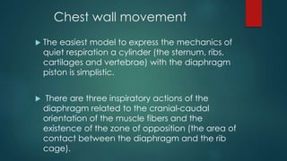 SURGICAL ANATOMY OF THE CHEST WALL | PPTX