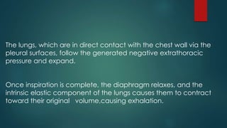 SURGICAL ANATOMY OF THE CHEST WALL | PPTX