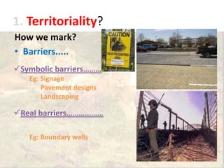 Crime prevention through environmental design | PDF