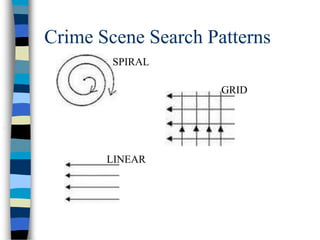 Crime Scene Search Patterns Worksheet