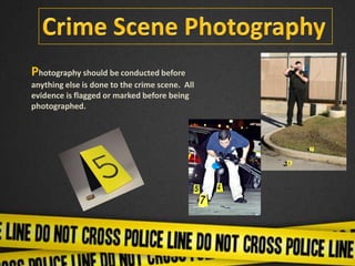 Crime scene | PPTX