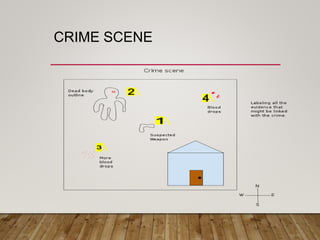 crime scene.PPTX