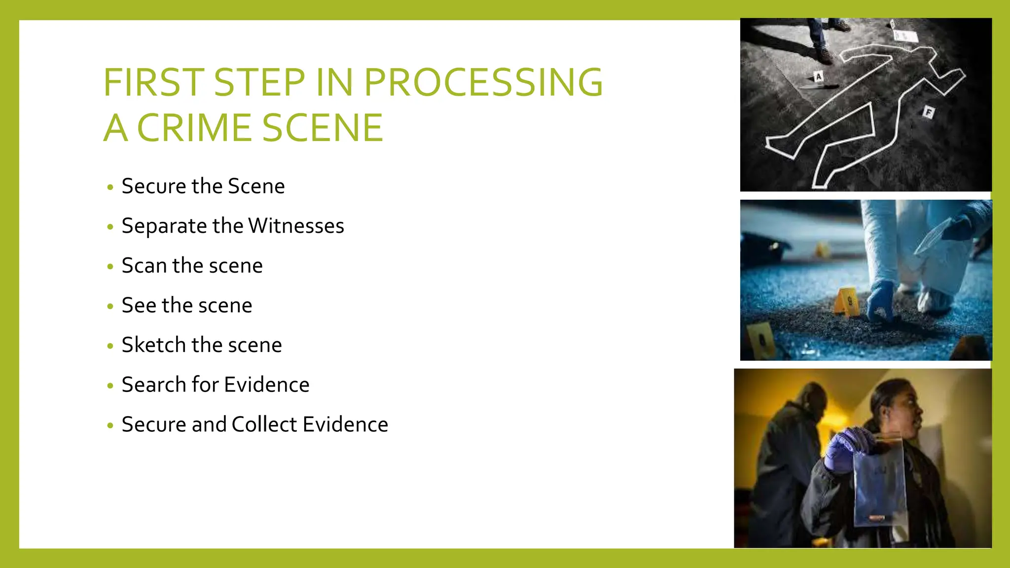 CRIME SCENE INVESTIGATION.pptx