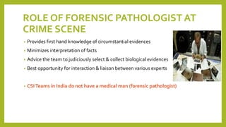 CRIME SCENE INVESTIGATION.pptx