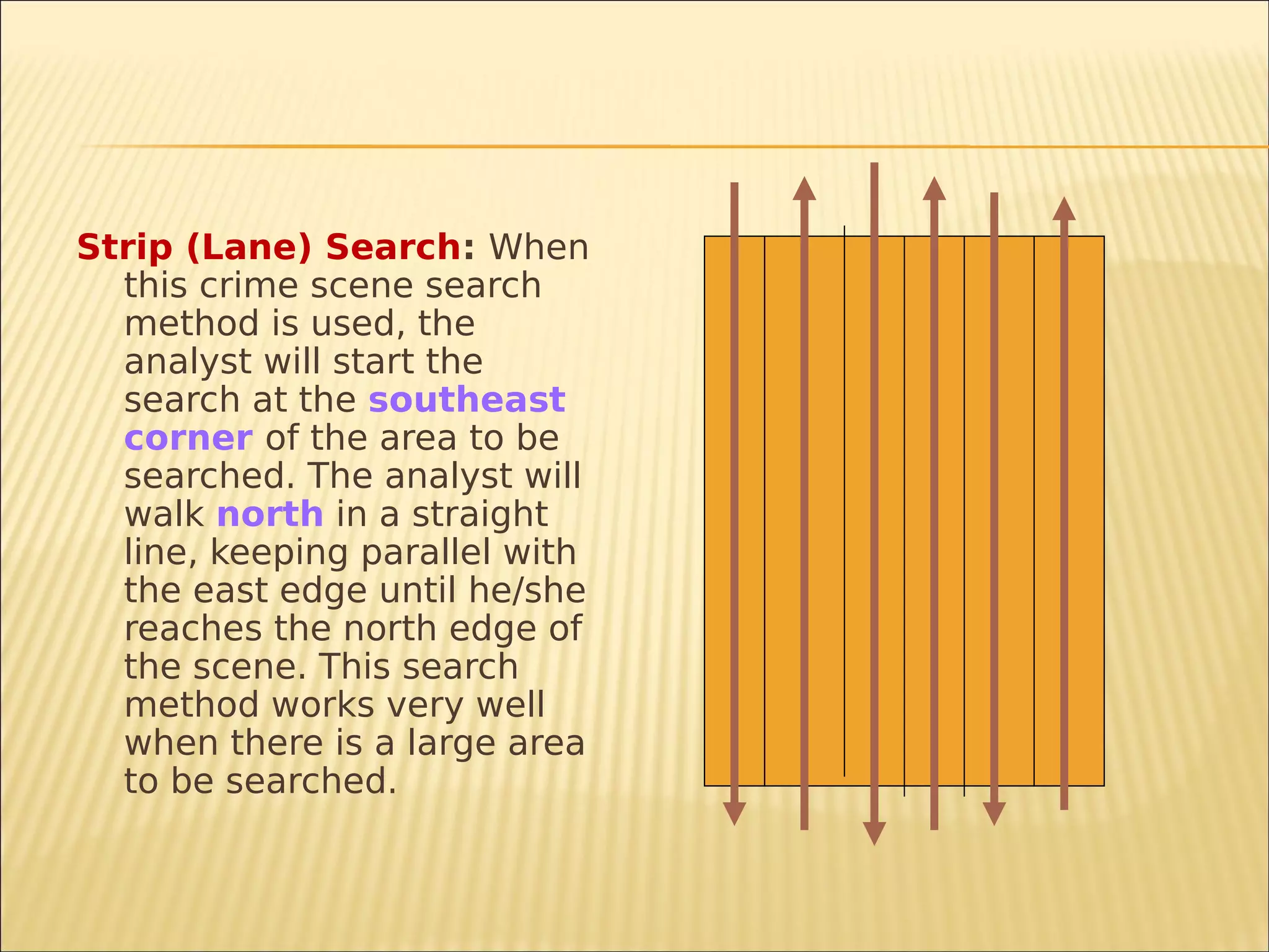Crime scene investigation | PDF