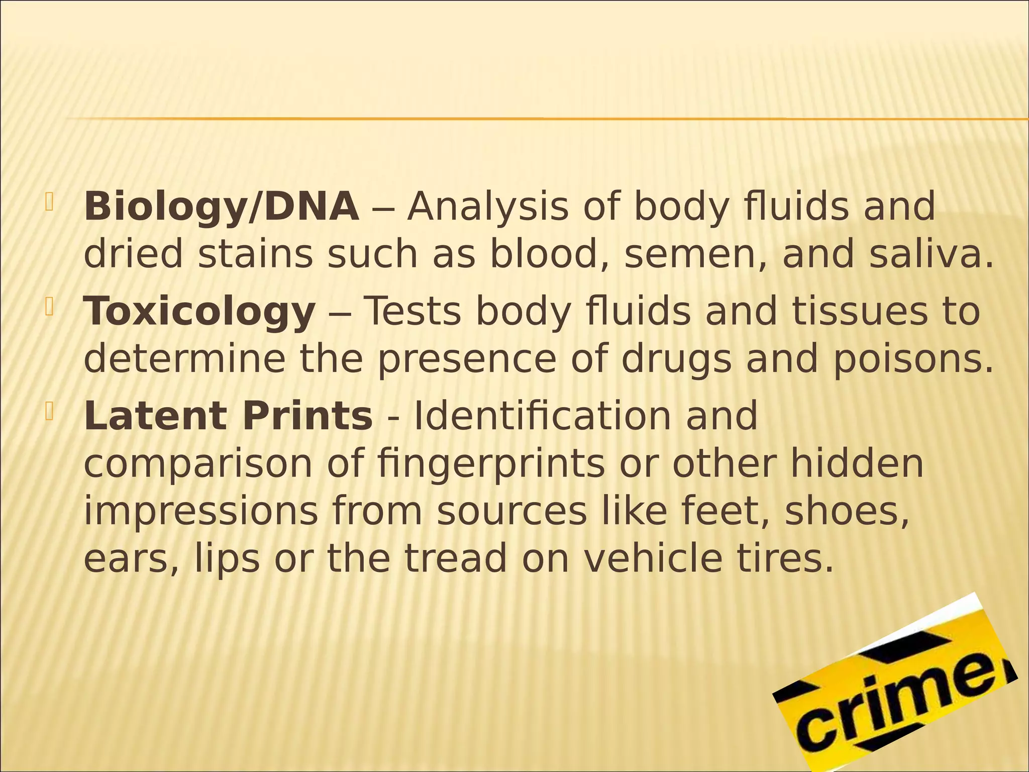 Crime scene investigation | PDF