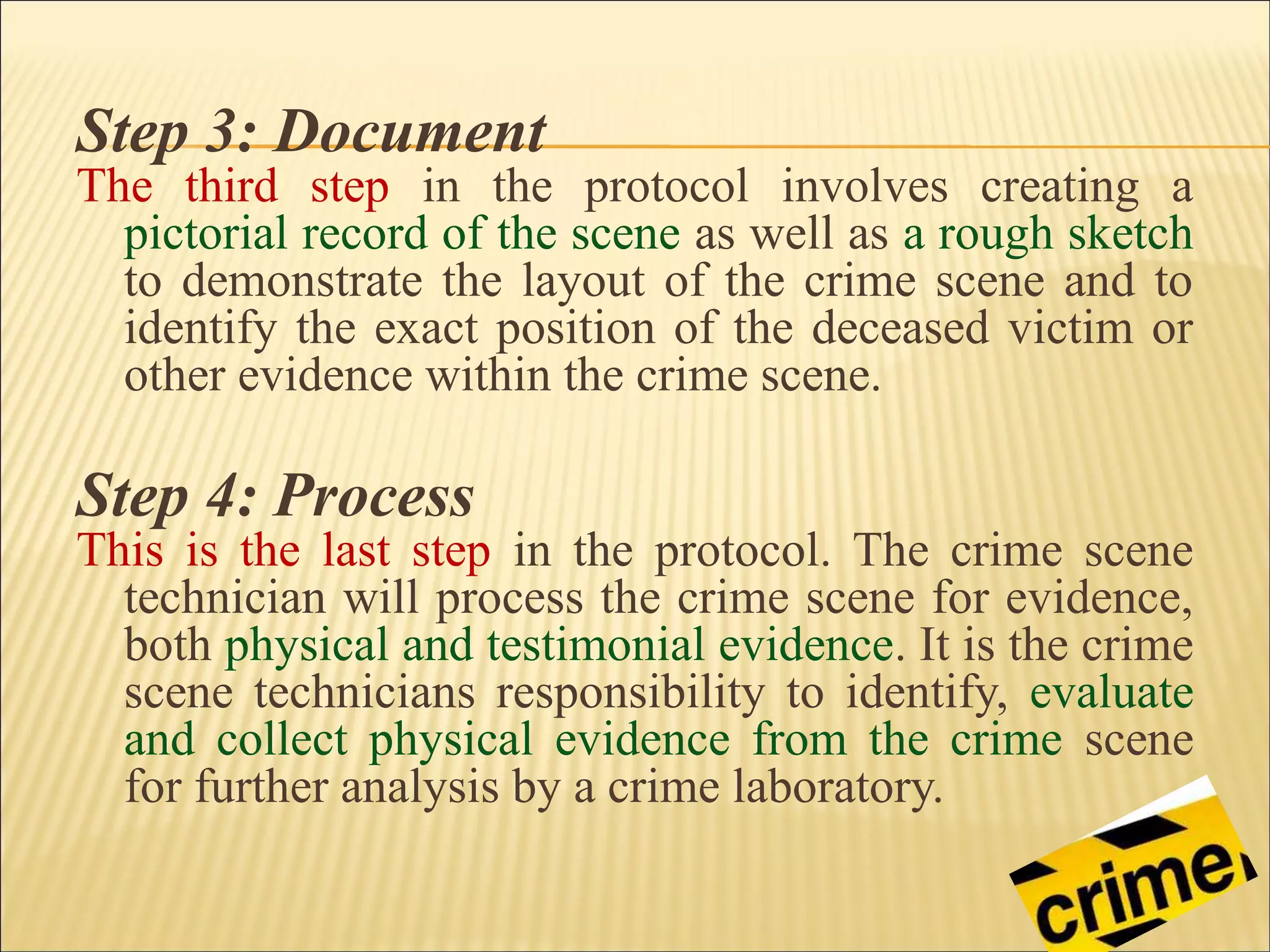 Crime scene investigation | PDF