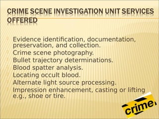 Crime scene investigation | PDF