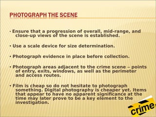 Crime scene investigation | PDF