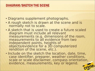 Crime scene investigation | PDF