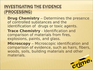 Crime scene investigation | PDF