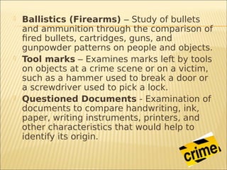 Crime scene investigation | PDF