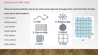 Crime Scene Investigation (CSI).pptx