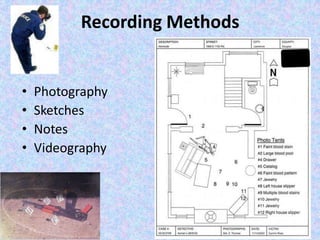 Crime scene management | PPTX