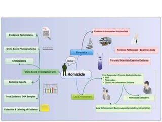 Crime scene management.ppt