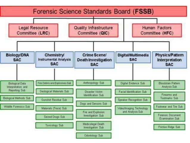 Crime scene management.ppt