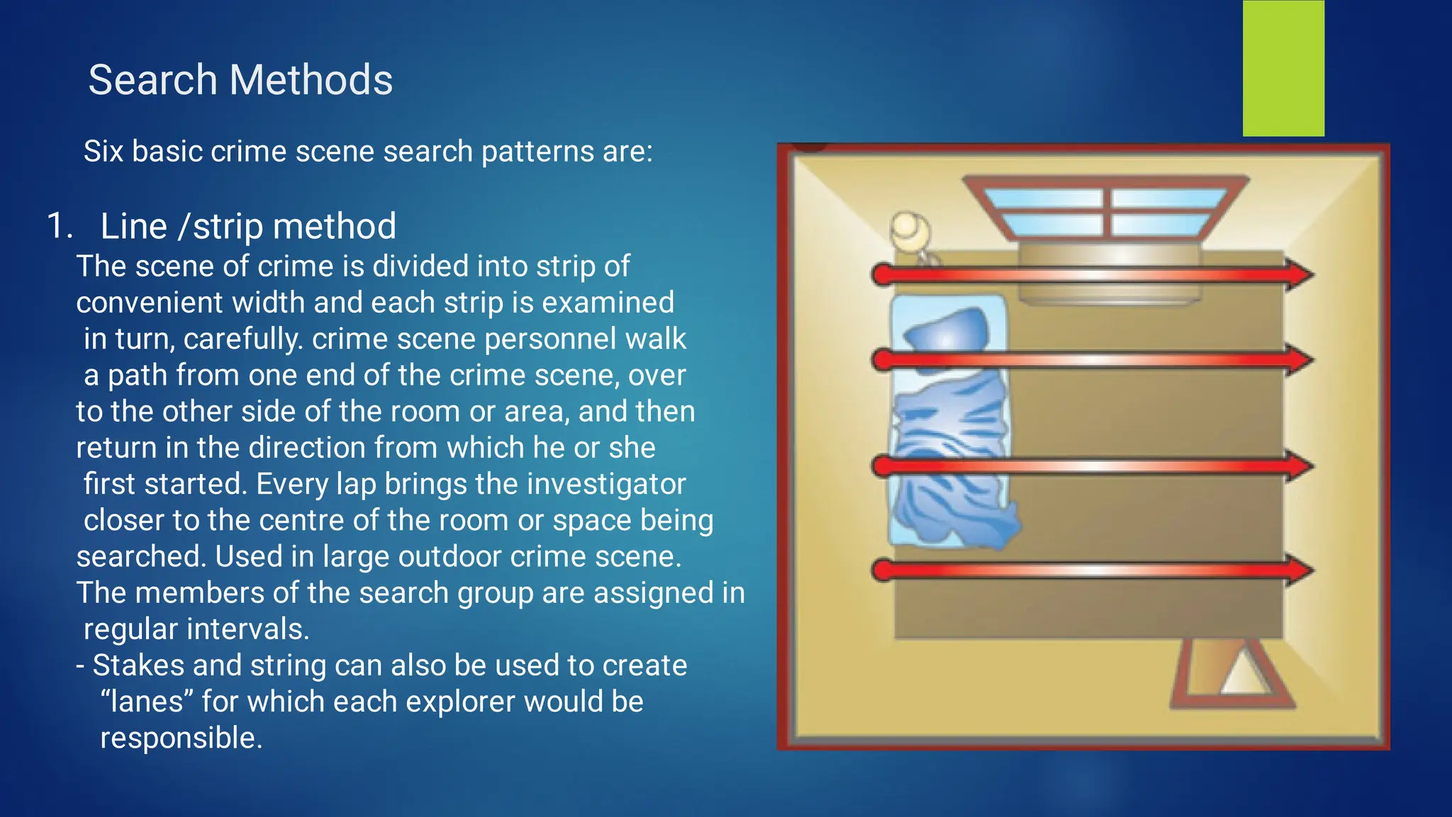 Crime Scene Management (forensic science) | PDF | Crime & Harmful Acts ...