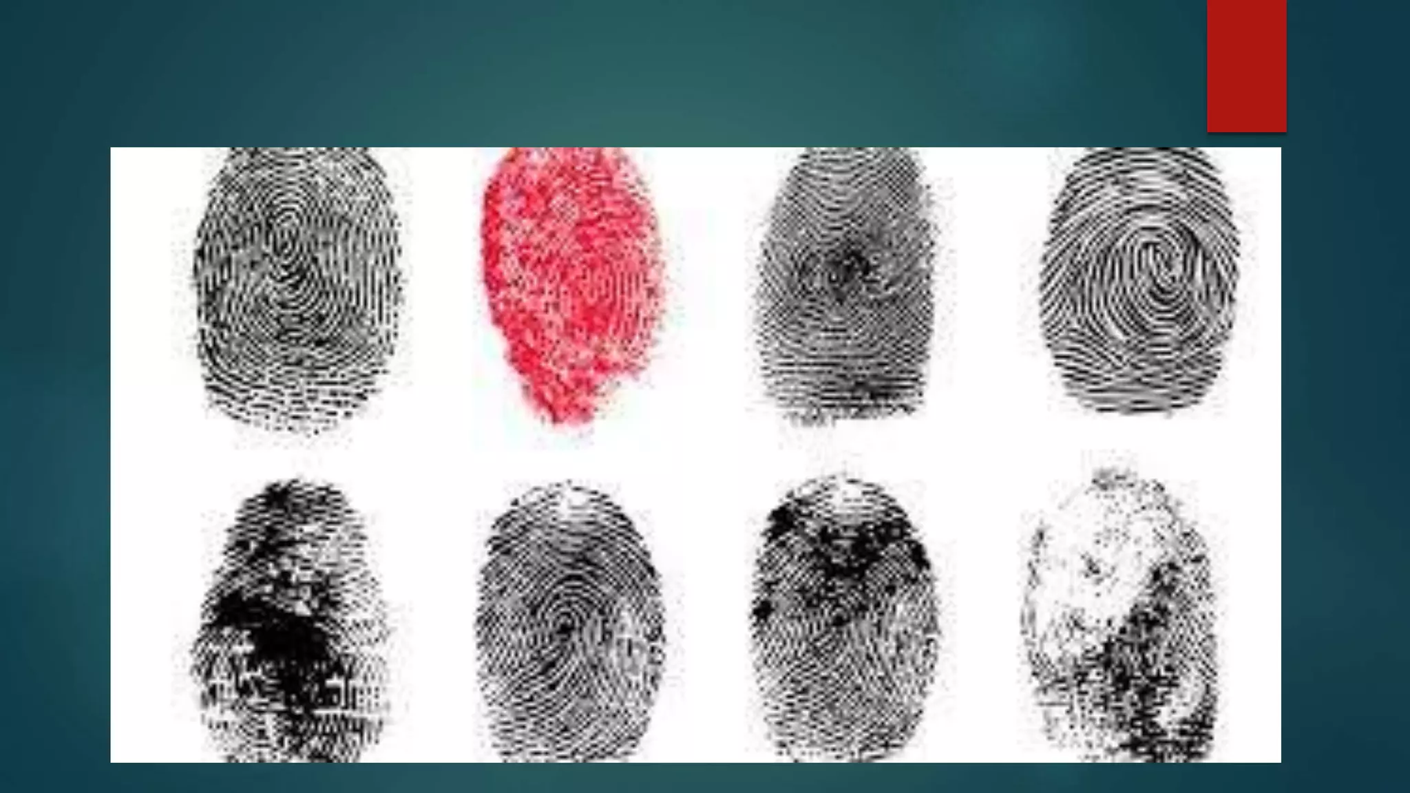 Crime scene reconstruction | PPTX