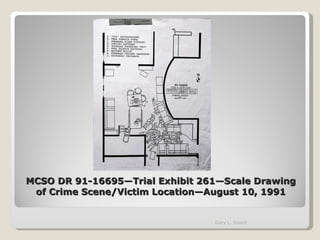 Crime scenes | PPT
