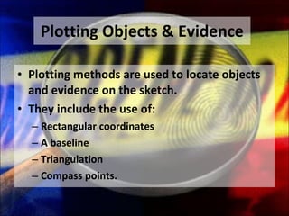 Crime scene sketching basics | PPT