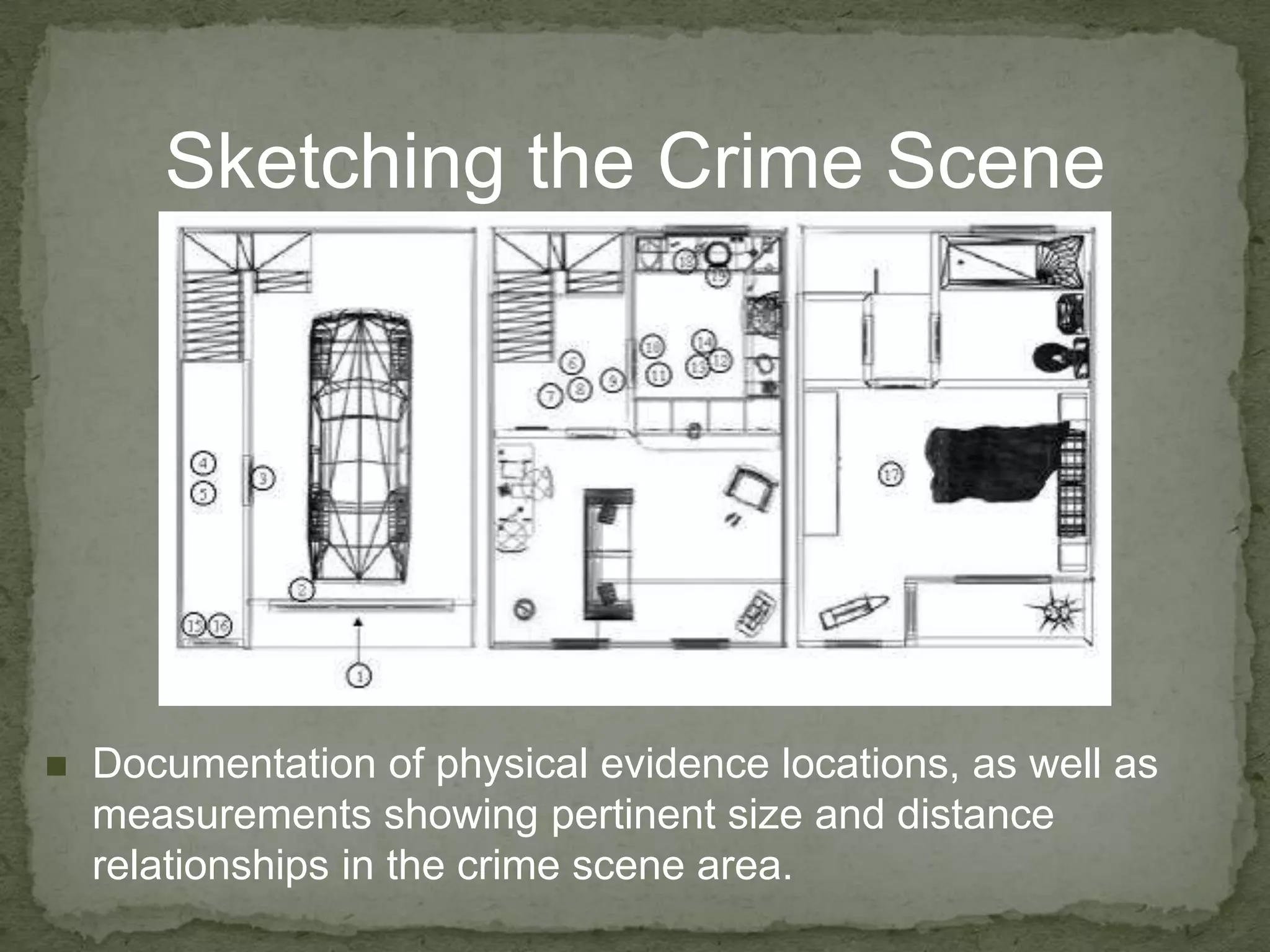 Crime scenes presentation | PPTX