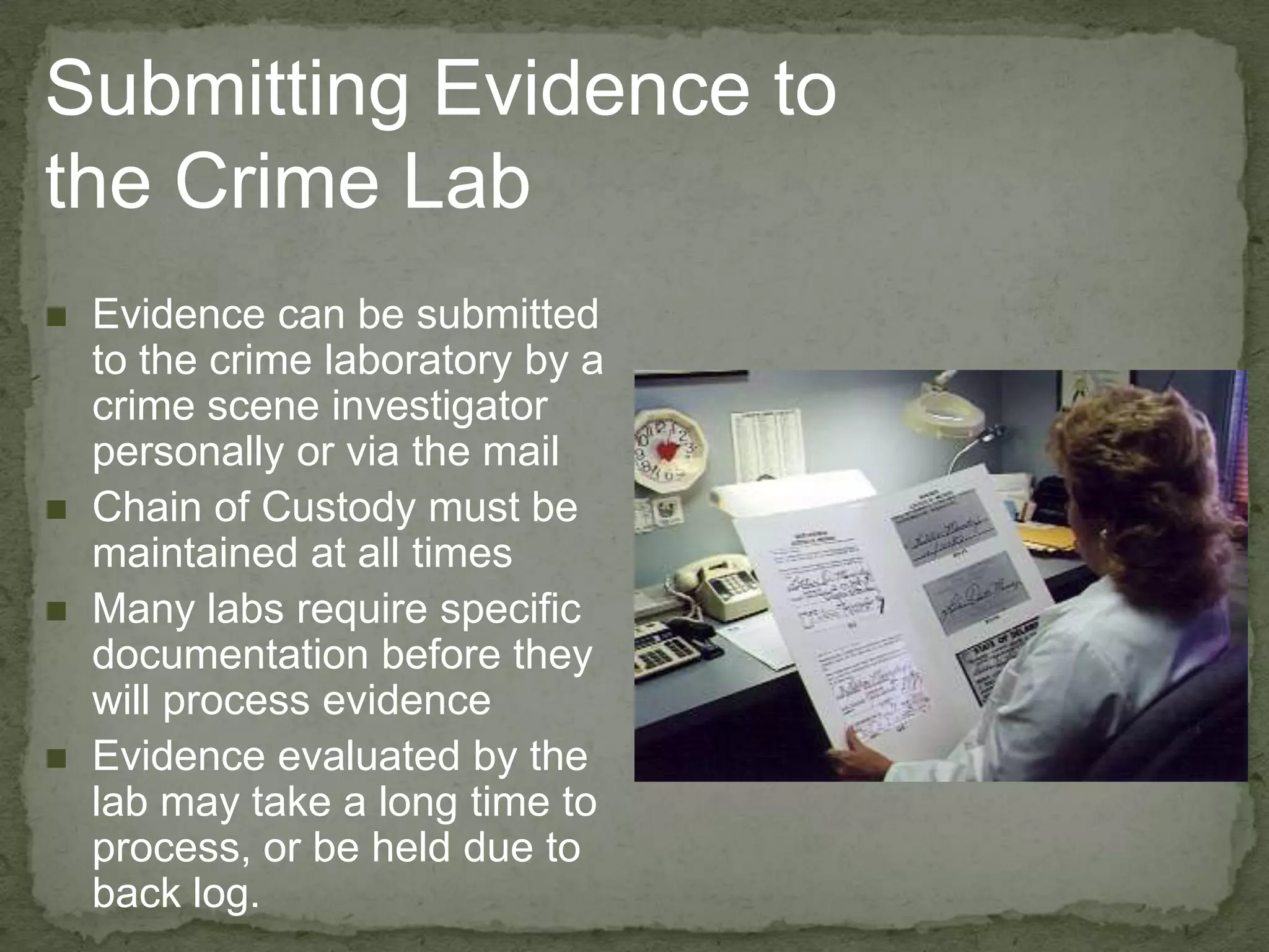 Crime scenes presentation | PPTX