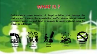 Environment Crimes.pptx