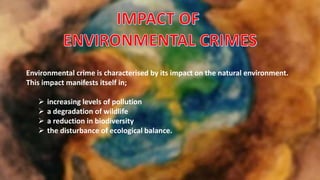 Environment Crimes.pptx