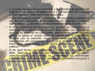 Criminalistica forense | PPTX